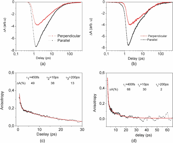 Low absorption state of phycocyanin from Acaryochloris marina antenna ...