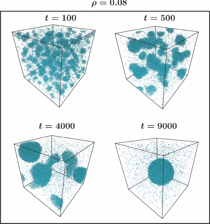 Effects of domain morphology on kinetics of fluid phase separation ...
