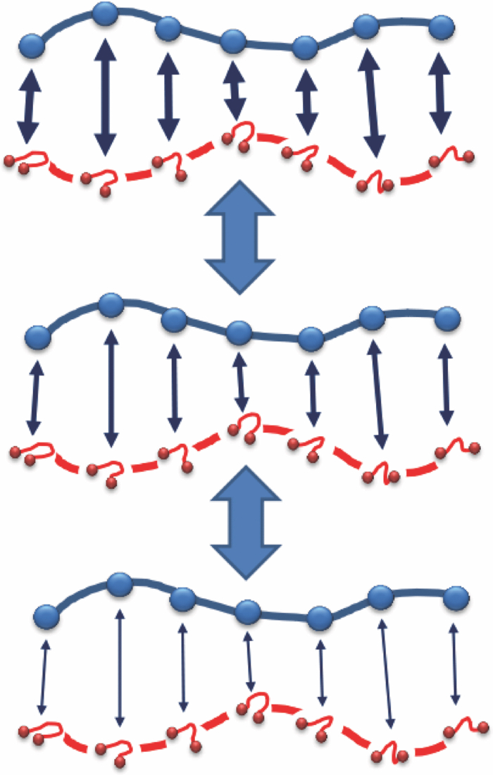 Multiscale enhanced path sampling based on the Onsager-Machlup action: Application to a model ...