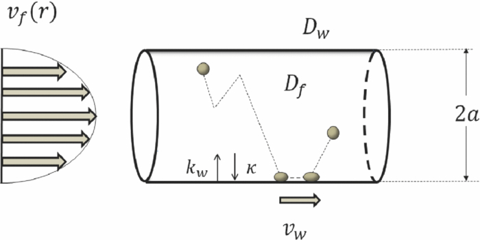 Aris-Taylor dispersion with drift and diffusion of particles on the ...