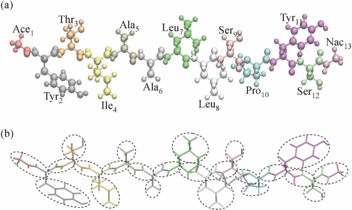 Peptide dynamics by molecular dynamics simulation and diffusion theory ...