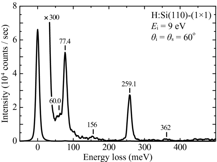 Anisotropic surface phonon dispersion of the hydrogen-terminated Si(110 ...