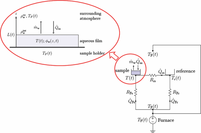 Isothermal dehydration of thin films of water and sugar solutions | The ...
