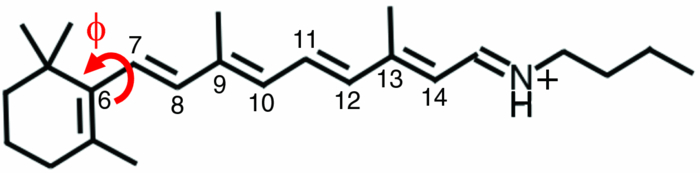 Photoisomerization action spectrum of retinal protonated Schiff base in ...