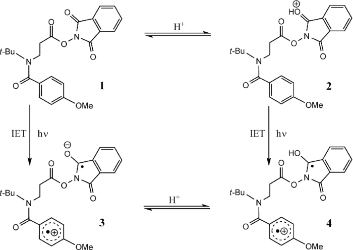 Local CC2 response method based on the Laplace transform: Analytic energy gradients for ground ...