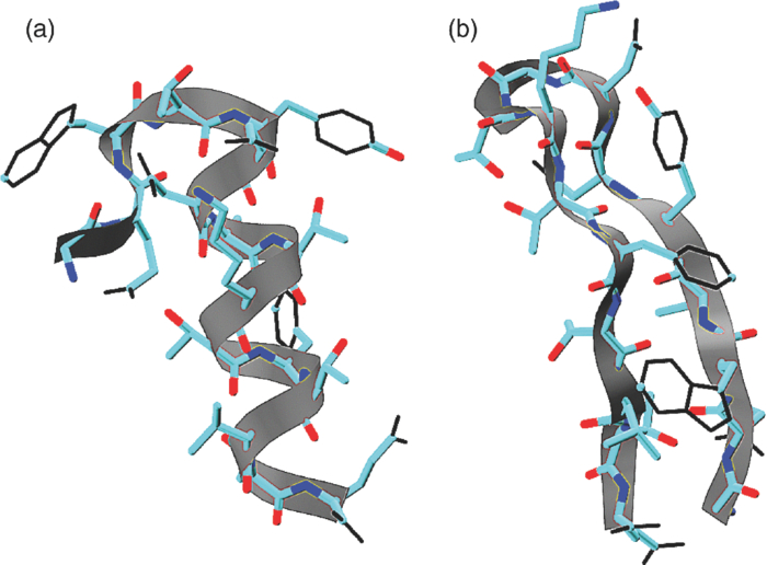 Investigations Of α Helix↔β Sheet Transition Pathways In A Miniprotein Using The Finite