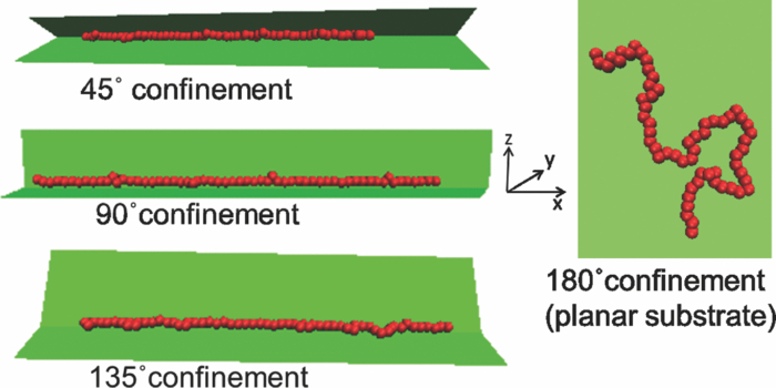 Localization and stretching of polymer chains at the junction of two ...