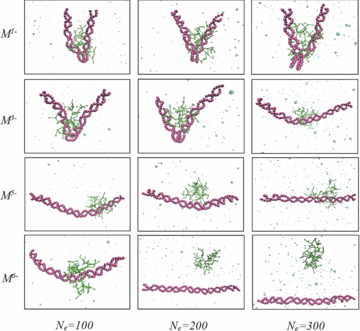 The adsorption-desorption transition of double-stranded DNA interacting ...