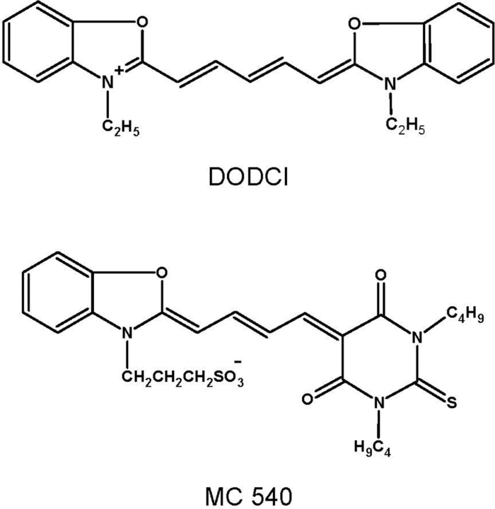 Solute dynamics in block-copolymer reverse micelles: Do water content ...