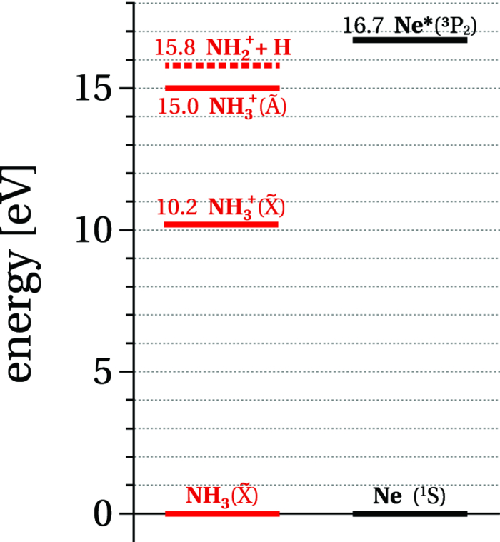 Dynamics of gas phase Ne* + NH3 and Ne* + ND3 Penning ionisation at low ...