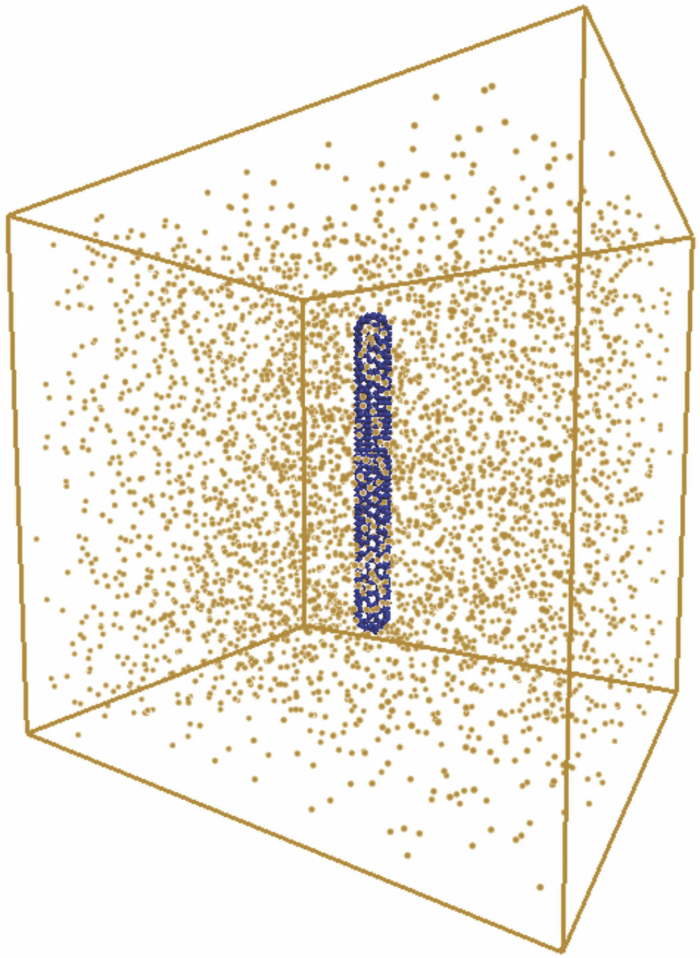 Molecular Dynamics Calculation Of Rotational Diffusion Coefficient Of A