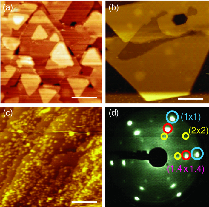 Epitaxial growth of CeO2(111) film on Ru(0001): Scanning tunneling ...