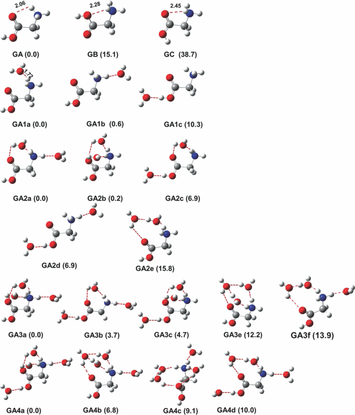 Ab initio investigation of the first hydration shell of protonated ...
