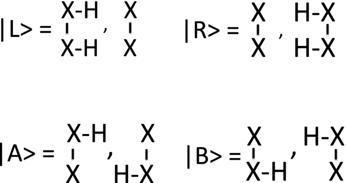 A diabatic state model for double proton transfer in hydrogen bonded ...