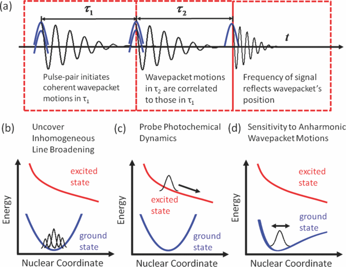 Multidimensional resonance raman spectroscopy by six-wave mixing in the ...