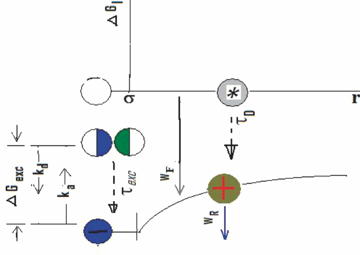 Kinetics of exciplex formation/dissipation in reaction following Weller ...
