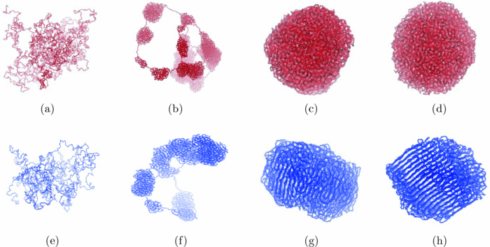 Crumpled globule formation during collapse of a long flexible and ...