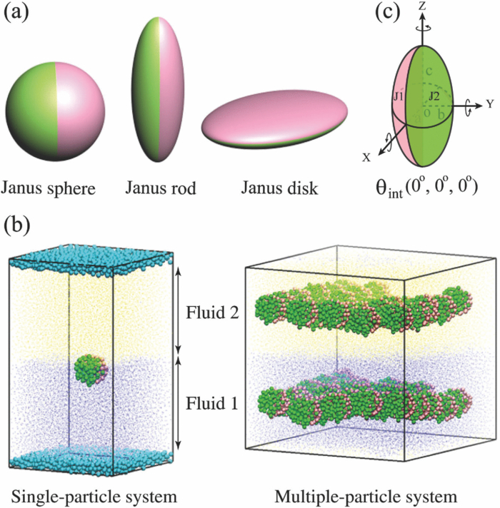 Orientation and surface activity of Janus particles at fluid-fluid interfaces | The Journal of ...
