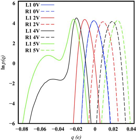 Evaluation of the constant potential method in simulating electric ...