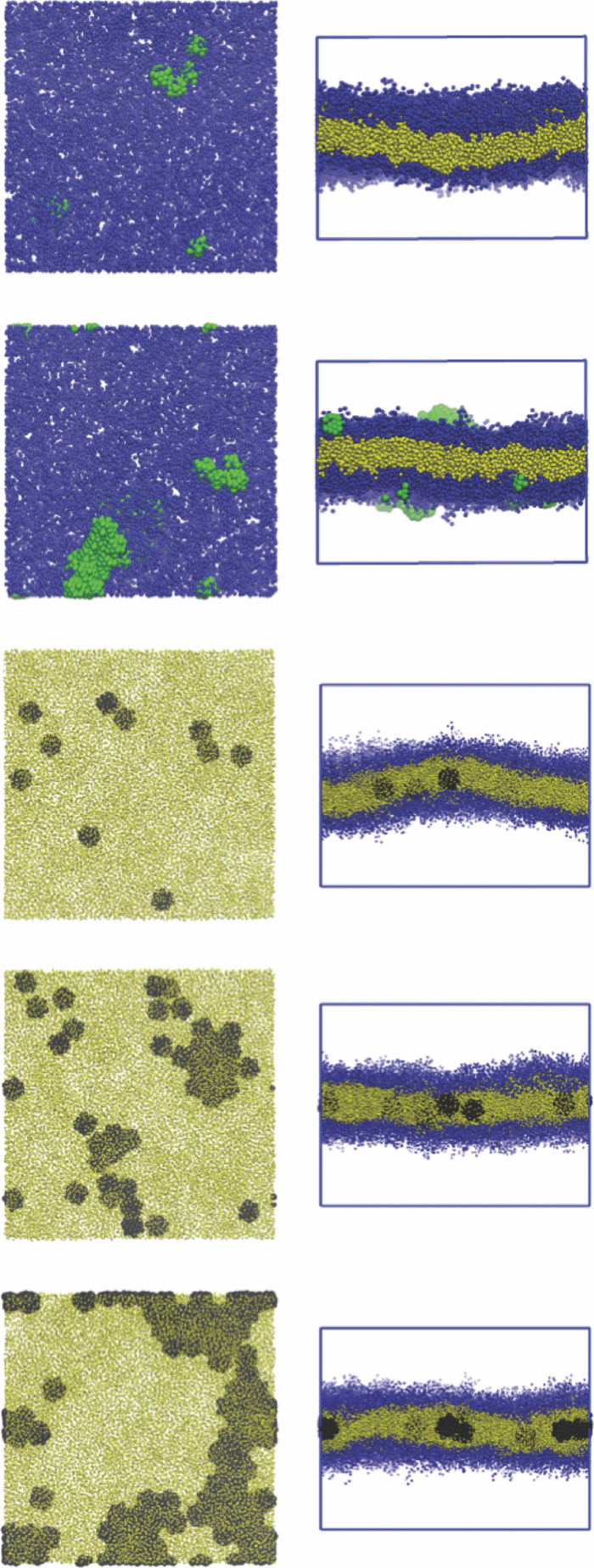 Aggregation of nanoparticles on one and two-component bilayer membranes ...