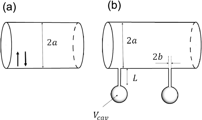 Aris-Taylor dispersion in tubes with dead ends | The Journal of ...