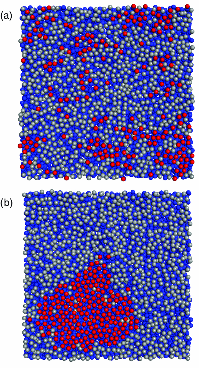 Coarse-grained molecular simulations of membrane adhesion domains | The ...