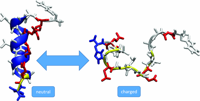 Sticky water surfaces: Helix–coil transitions suppressed in a cell ...