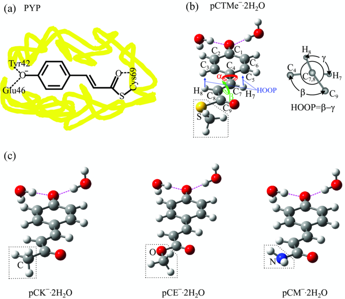 Unveiling the mechanism of photoinduced isomerization of the ...