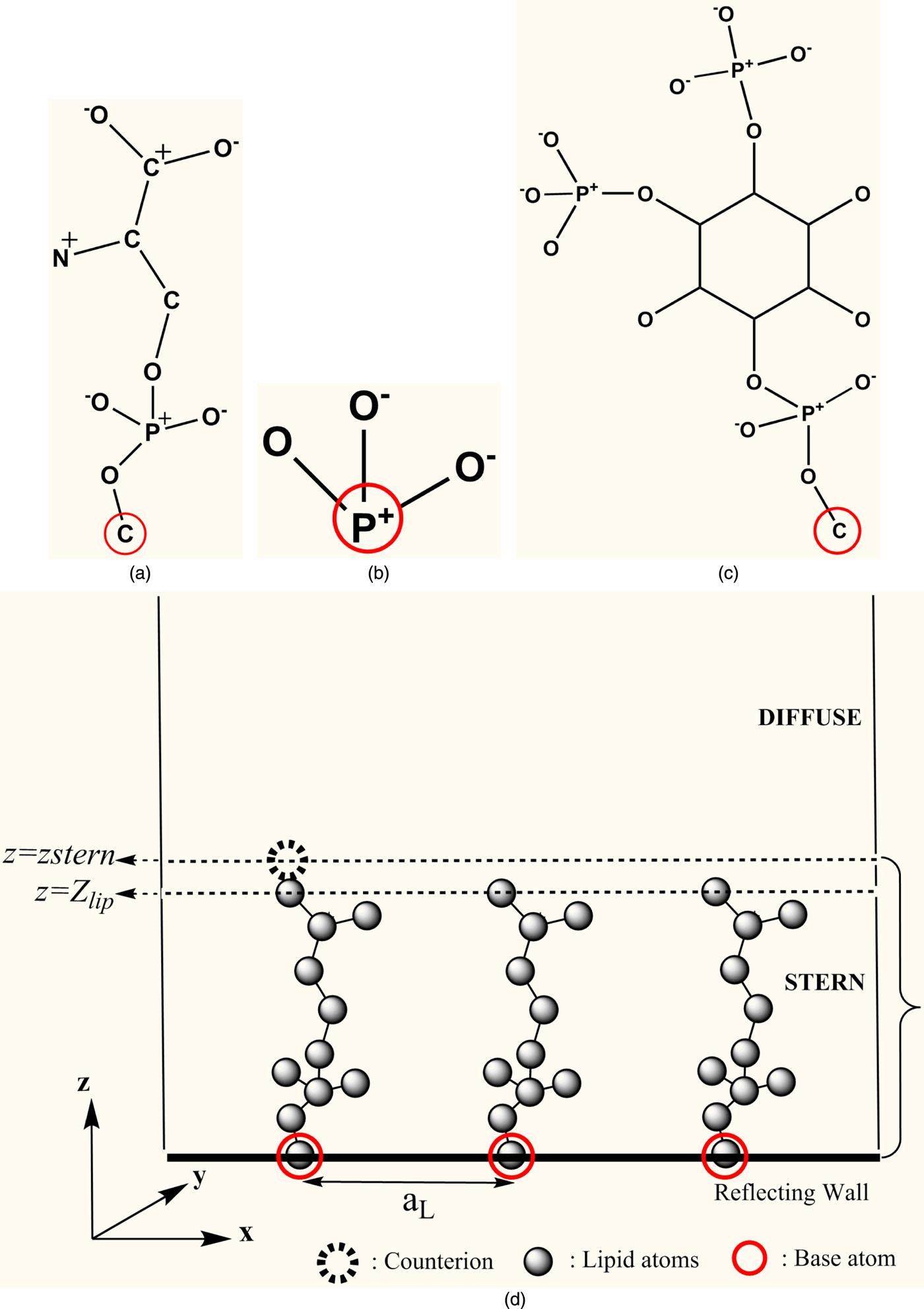 Separation of the Stern and diffuse layer in coarse-grained models: The ...