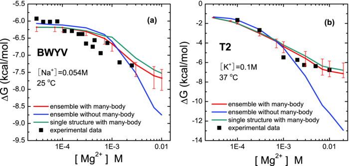 Many-body effect in ion binding to RNA | The Journal of Chemical ...