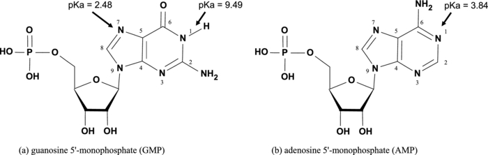 Nitrogen K-edge X-ray absorption near edge structure (XANES) spectra of ...