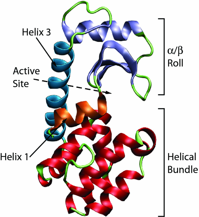 Communication: Using multiple tethers to stabilize proteins on surfaces ...