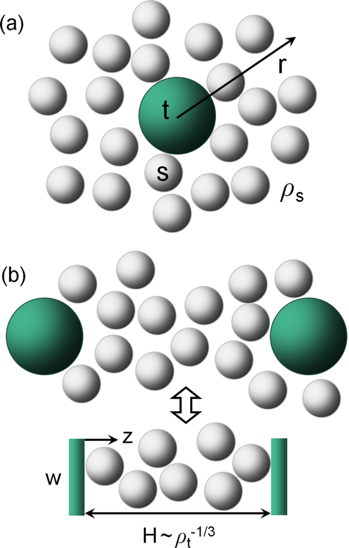 Tuning structure and mobility of solvation shells surrounding tracer ...