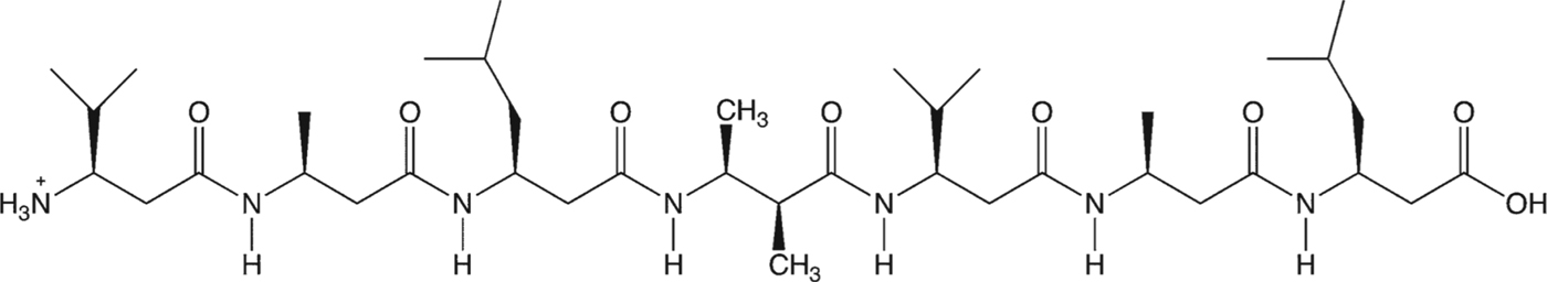 Mechanical unfolding pathway of a model β-peptide foldamer | The ...