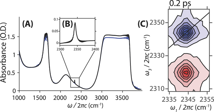 Ultrafast vibrational spectroscopy (2D-IR) of CO2 in ionic liquids ...