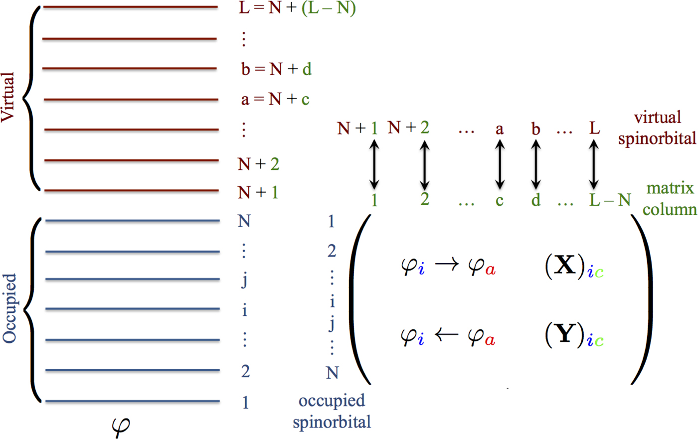 Transition matrices and orbitals from reduced density matrix theory ...