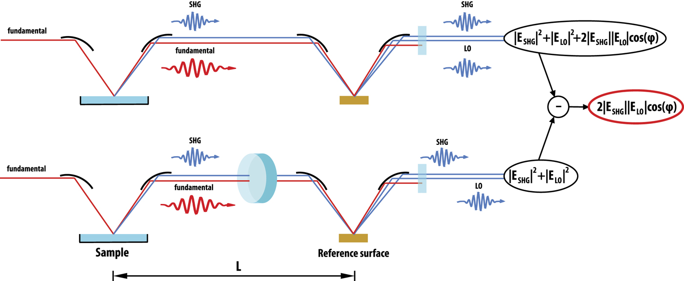 Time-resolved phase-sensitive second harmonic generation spectroscopy ...