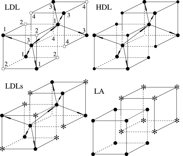 The associating lattice gas in the presence of interacting solutes ...