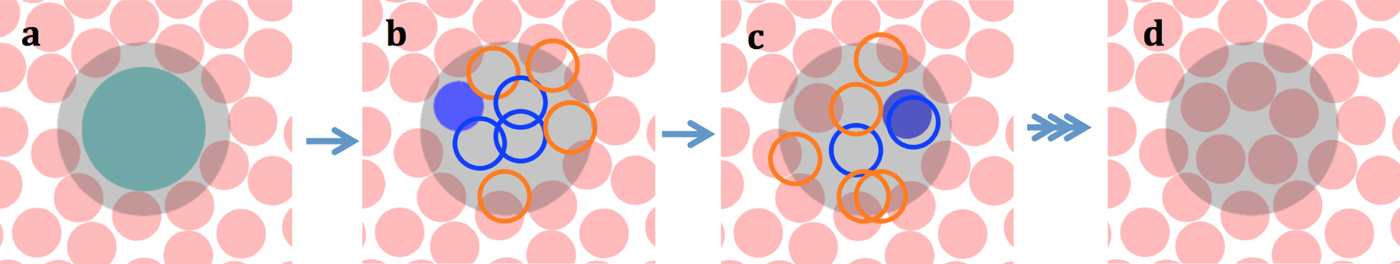 Grand canonical Monte Carlo using solvent repacking: Application to ...