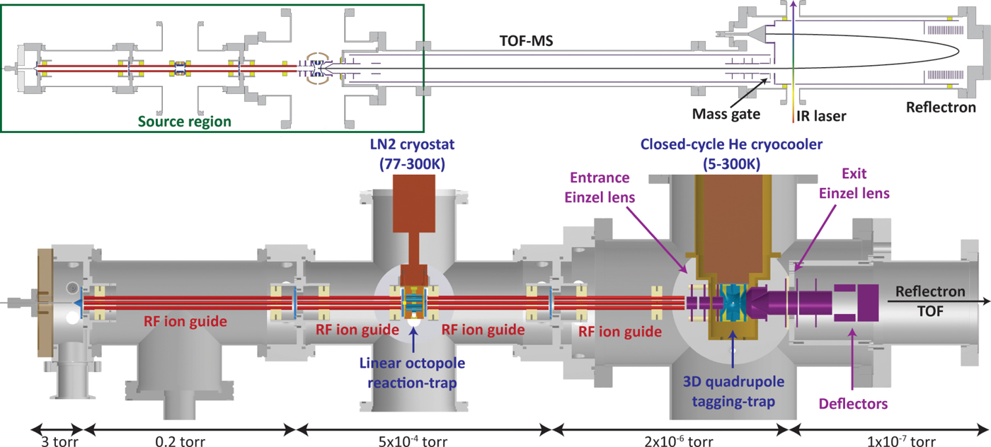 A dual cryogenic ion trap spectrometer for the formation and ...