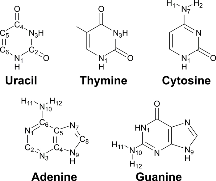 Complete-active-space second-order perturbation theory (CASPT2//CASSCF ...