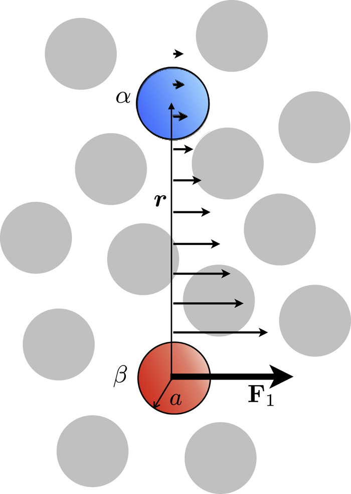 Pair mobility functions for rigid spheres in concentrated colloidal ...