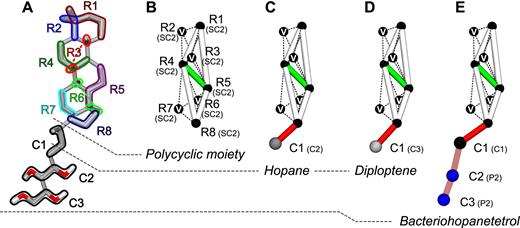 Parameters for Martini sterols and hopanoids based on a virtual-site ...