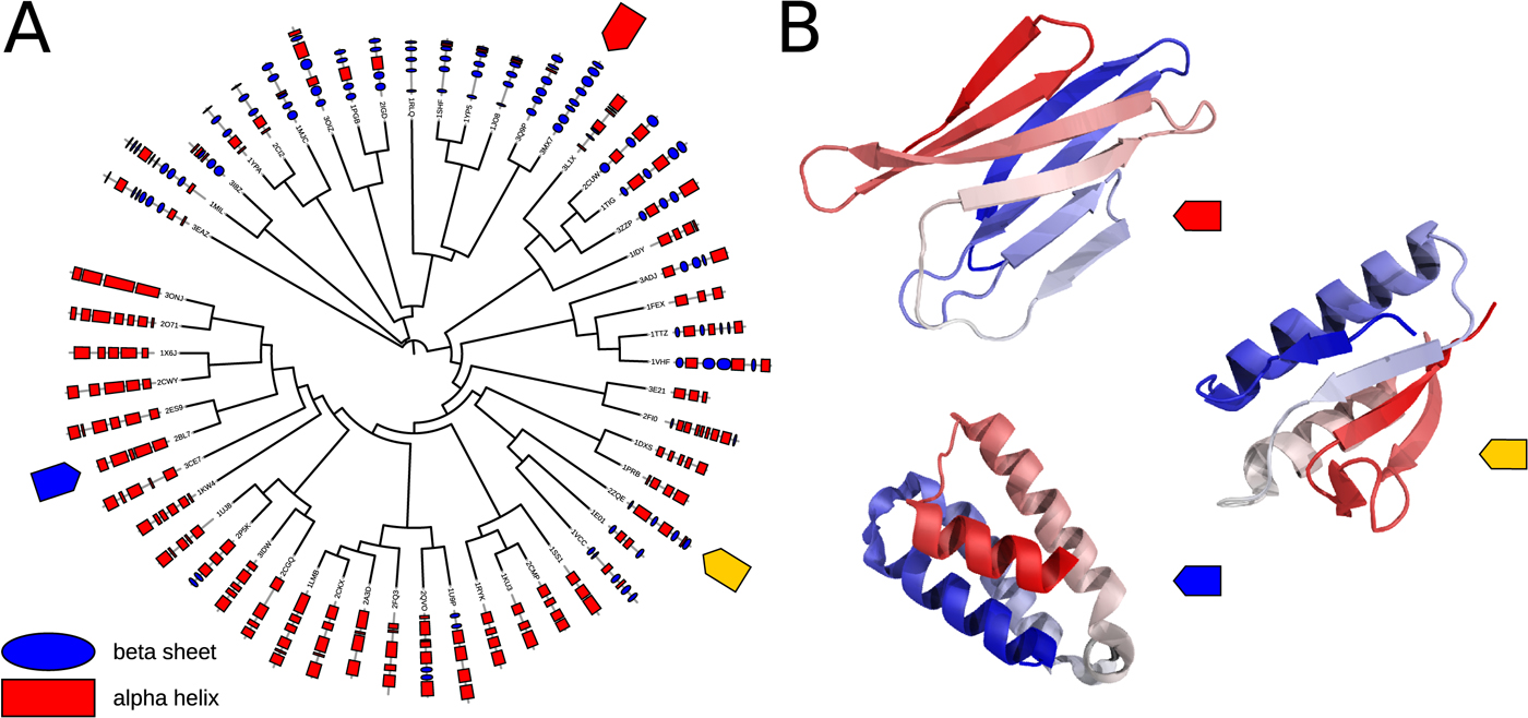 Revealing the global map of protein folding space by large-scale ...