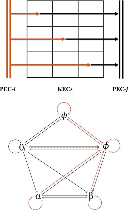 Reaction mechanism and reaction coordinates from the viewpoint of ...