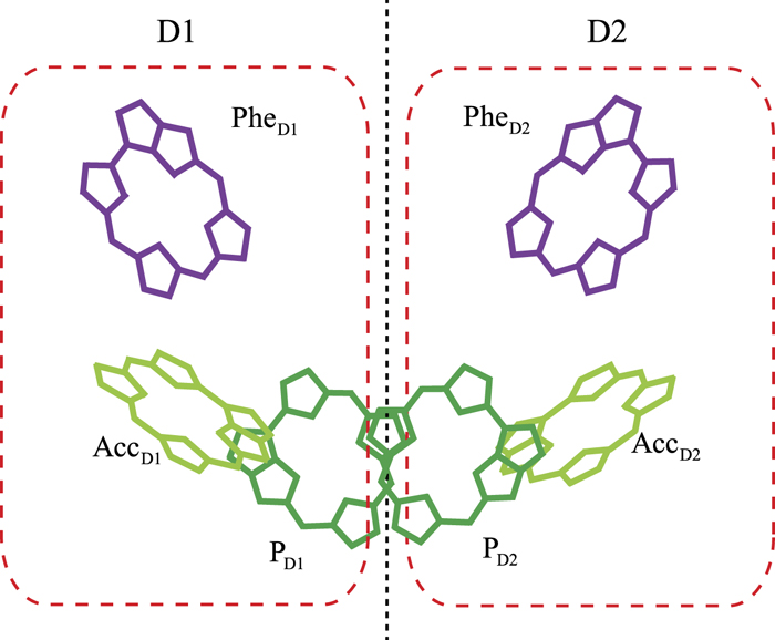 A multi-pathway model for photosynthetic reaction center | The Journal ...