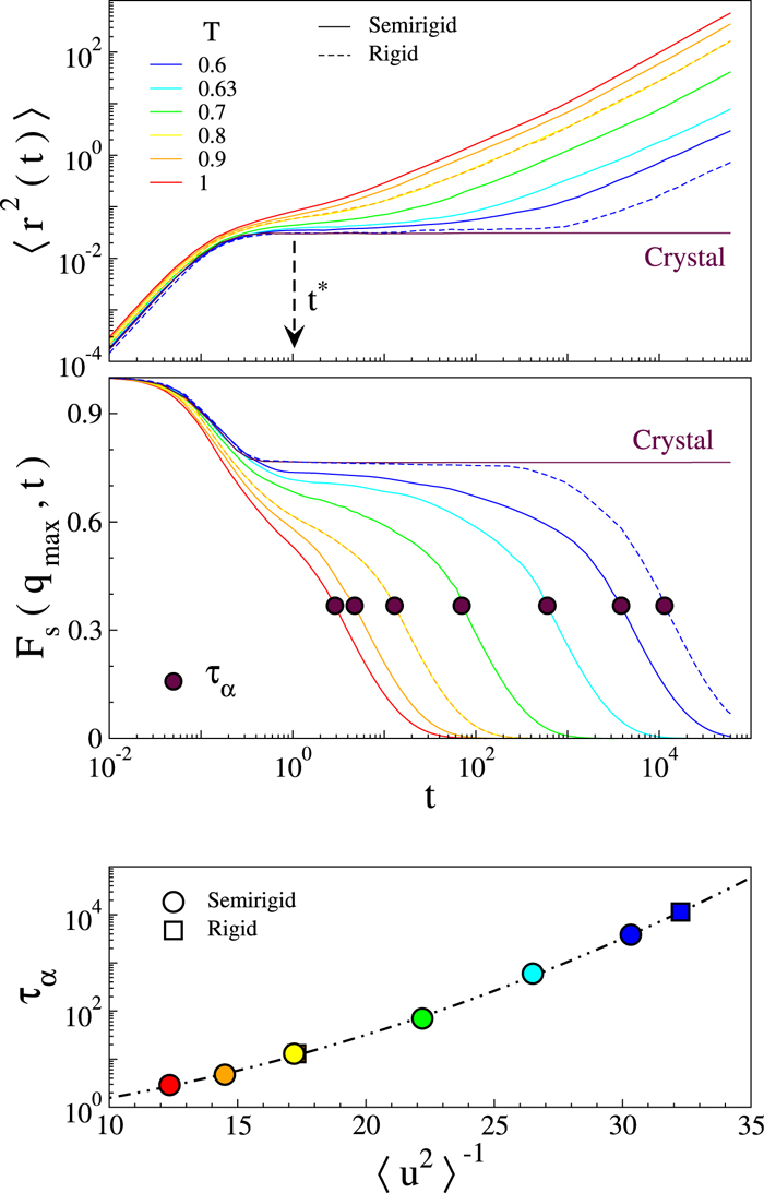 Cage effect in supercooled molecular liquids: Local anisotropies and ...