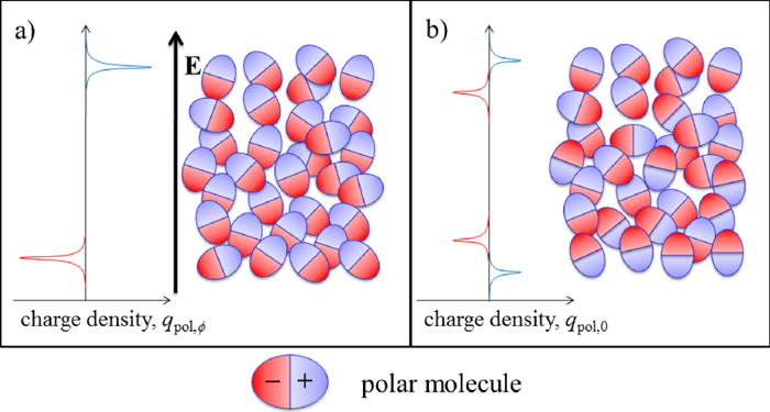 Polarization charge: Theory and applications to aqueous interfaces ...