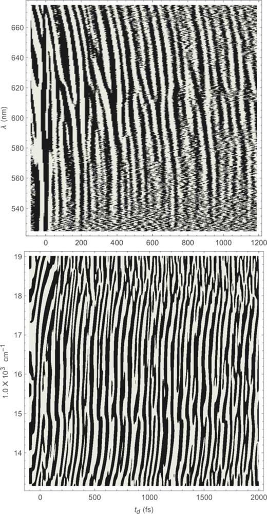 Ultrafast transient absorption revisited: Phase-flips, spectral fingers ...