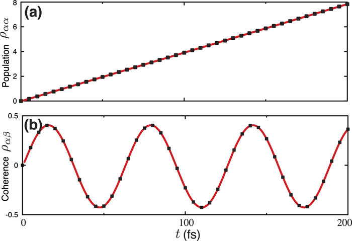 Transform-limited-pulse representation of excitation with natural ...